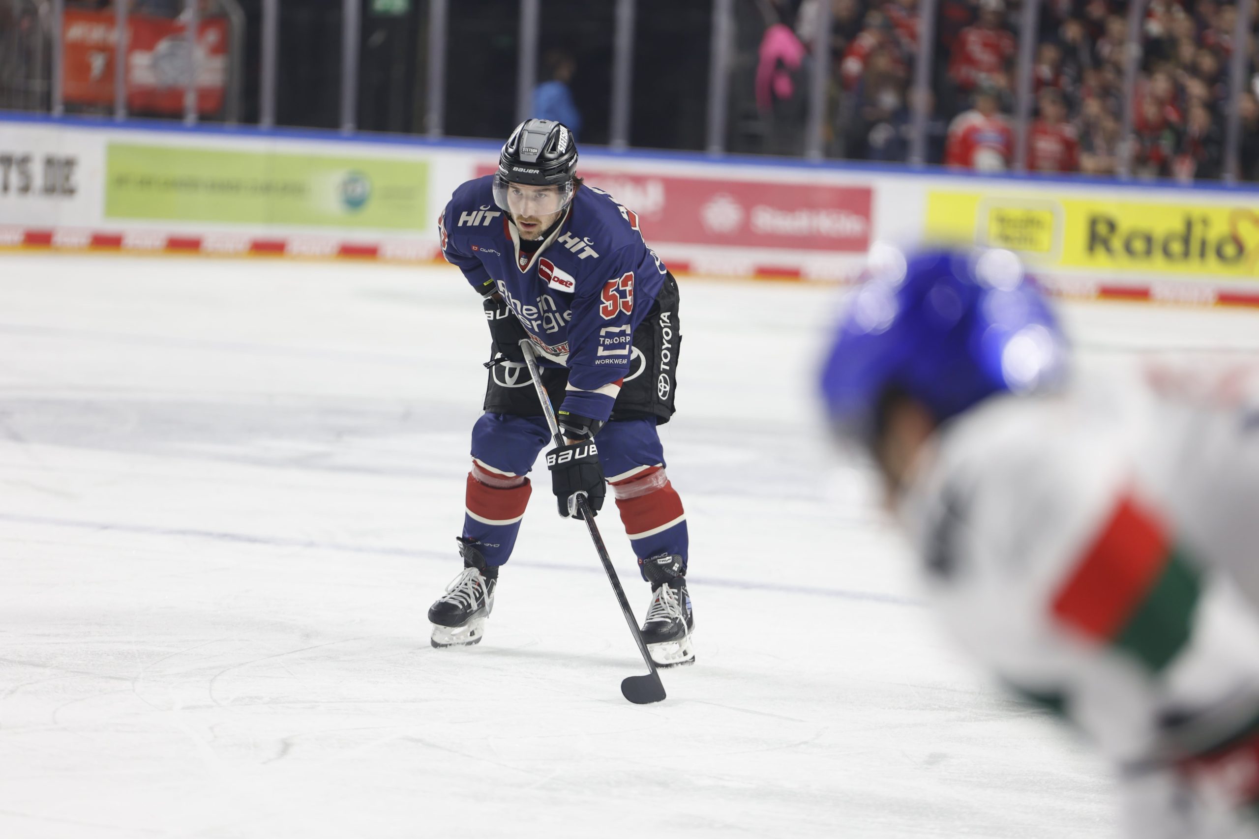 Haie-Trio um Tropmann für die U20-WM nominiert - Koeln 0221 News - Online